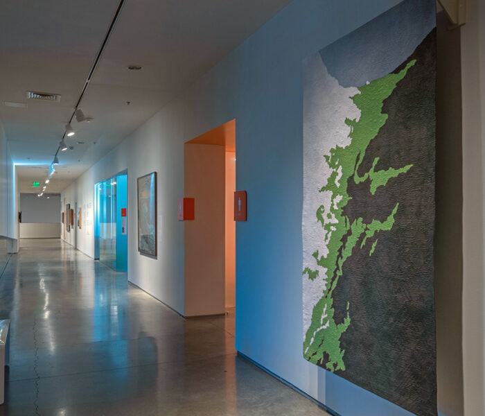 Ann Johnston | Textile Artist