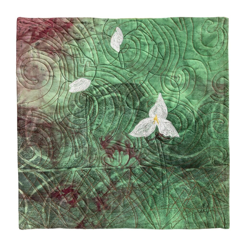 Wild Garden: Trillium | Ann Johnston