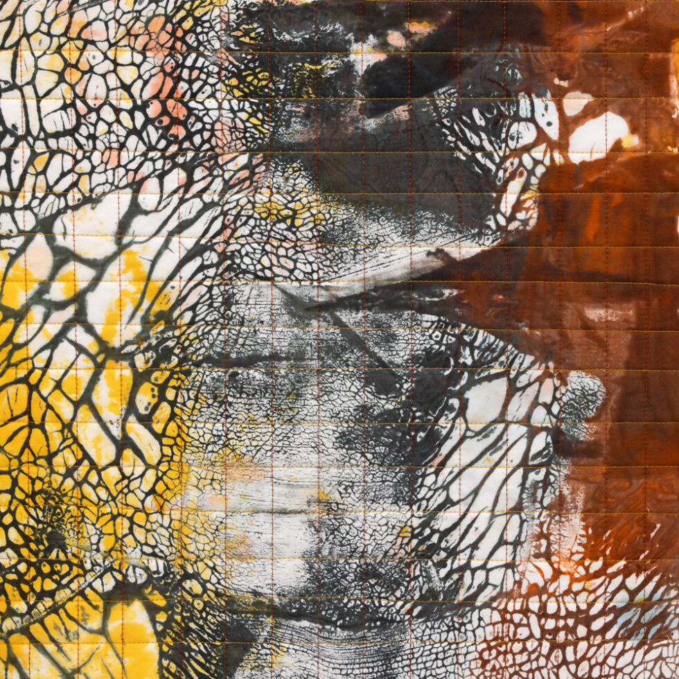 "Ragged Edges" on tour with SAQA OREGON - Ann Johnston